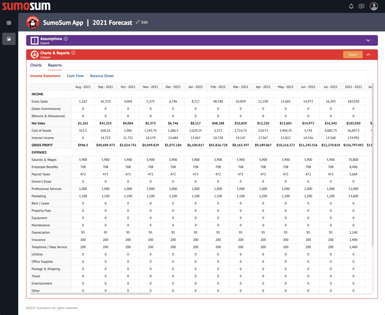 Tips for Creating a Future Profit and Loss Statement Forecast that ...